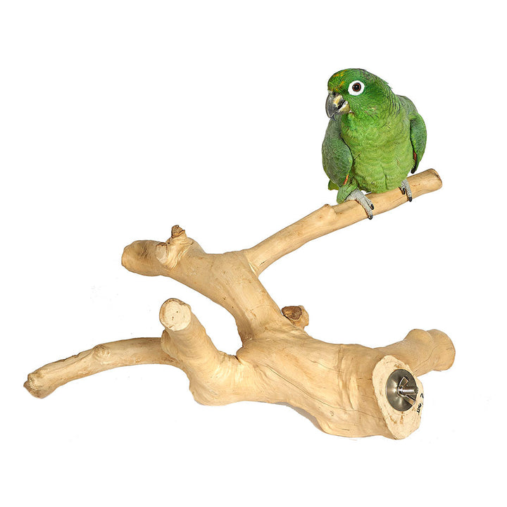 Java Wood – Sky Pet Products