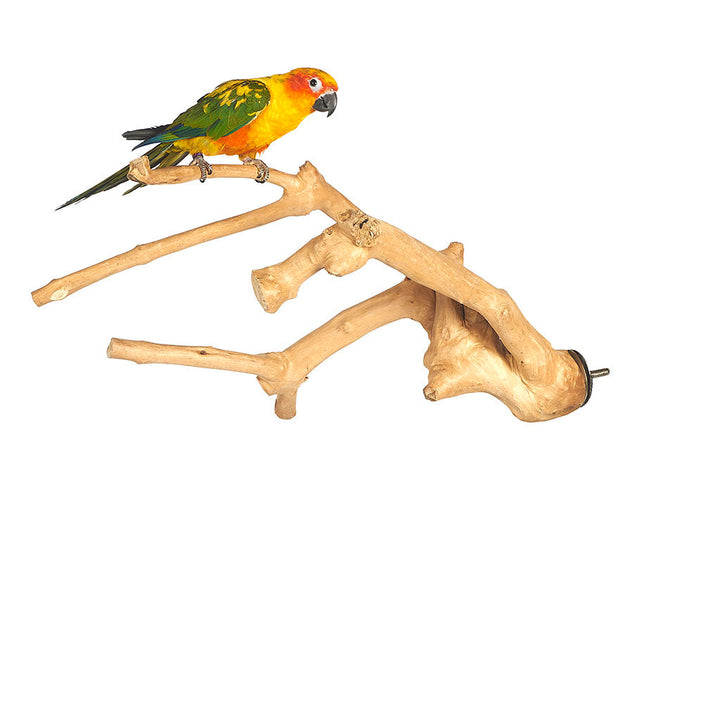 Java Wood – Sky Pet Products